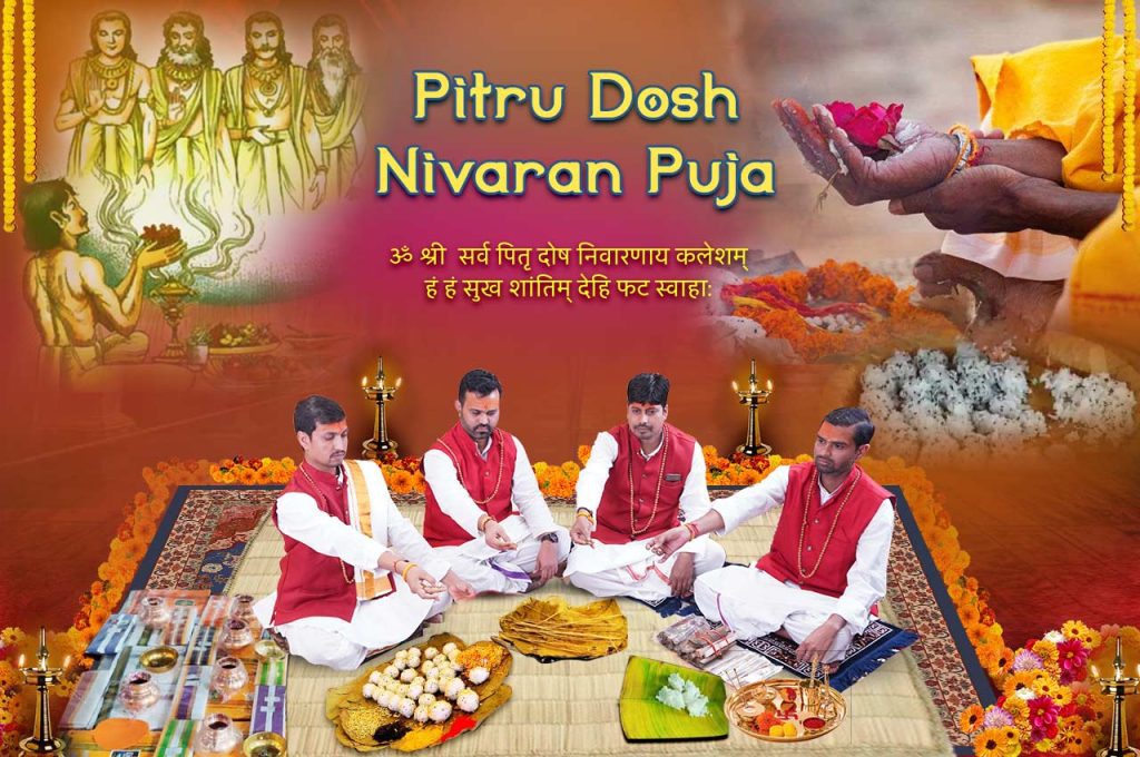 Pitra Dosh Nivaran - Book Puja Seva